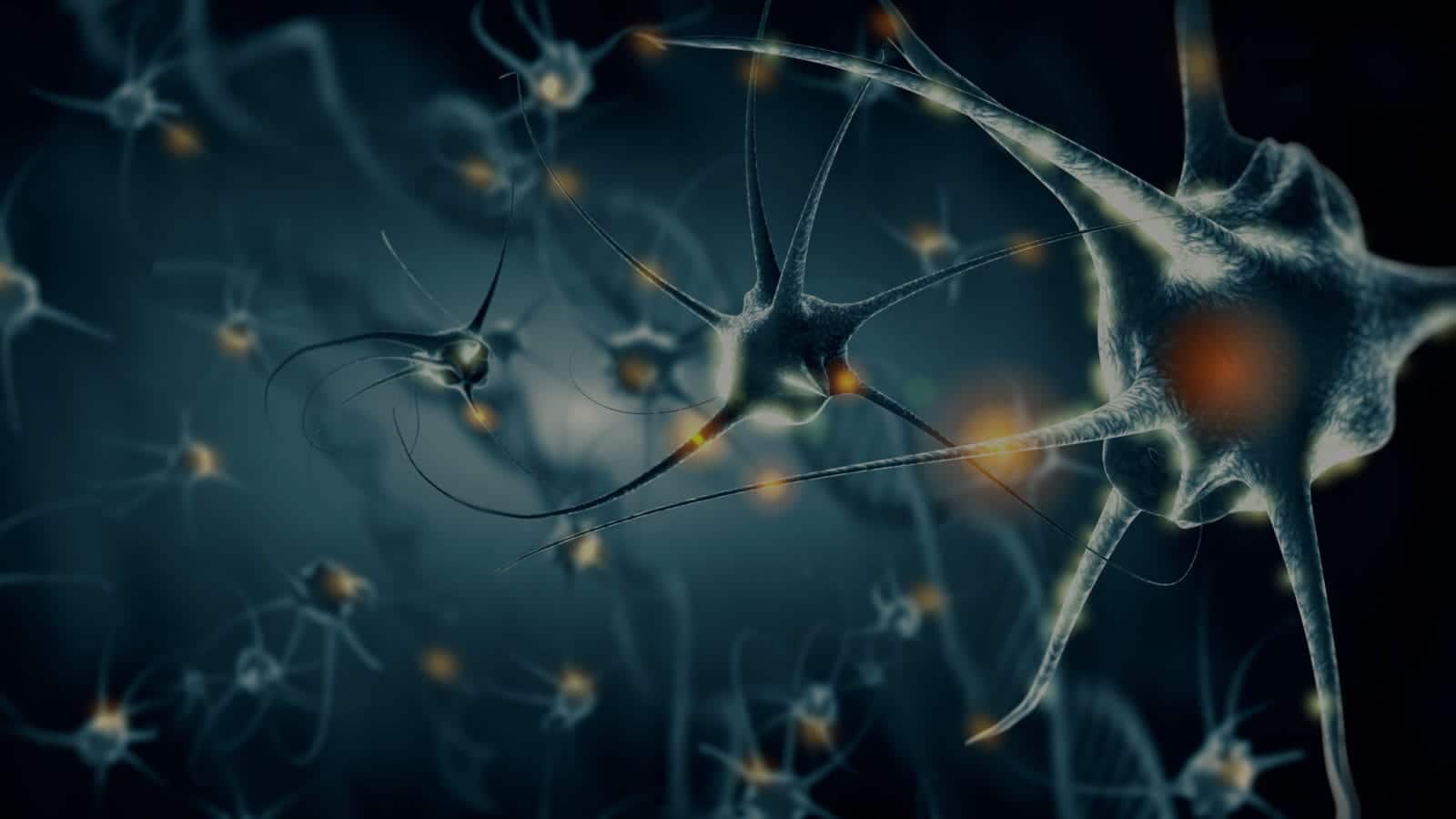 Context Dependent Sensory Processing Across Primary And Secondary Somatosensory Cortex Spark